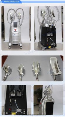 Vertical Cryolipolysis Slimming Machine 4 Handles For Body Shaping / Fat Removal