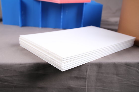 Factory Custom White PP Plastic Corrugate Sheet /Hollow Board