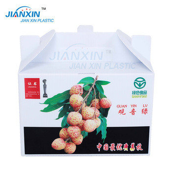 2017 Most Fashion Designed/ Colorful Printing PP Corrugated Plastic Fruit  Box