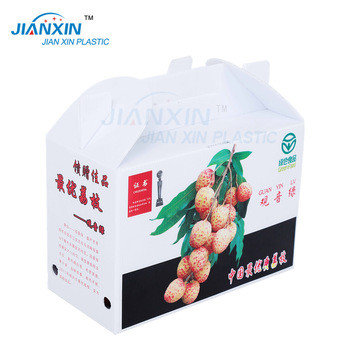 2017 Most Fashion Designed/ Colorful Printing PP Corrugated Plastic Fruit  Box