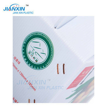 2017 Most Fashion Designed/ Colorful Printing PP Corrugated Plastic Fruit  Box