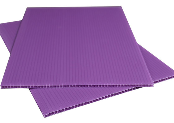 Eco- friendly/ Recyclable Material /Printing Flexible PP Corrugated Plastic Sheets NZ