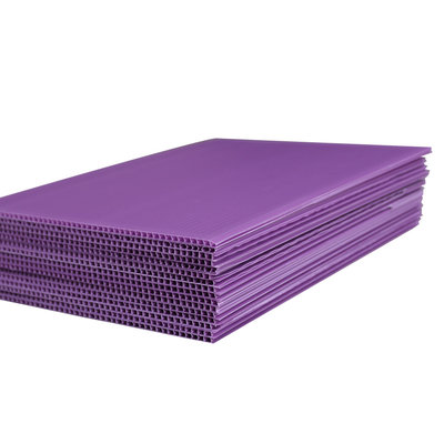 Plastic PP Twin Wall Fluted Corrugated Sheet / Board Eco-friendly Polypropylene Corrugated Plastic Protective Board