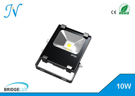 Cambie las luces de inundación llevadas Dimmable controladas 10w para ajardinar y la iluminación del jardín