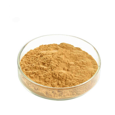 Organic Raw Material Ginkgo Biloba Extract 24 Flavonoids 6 Lactones