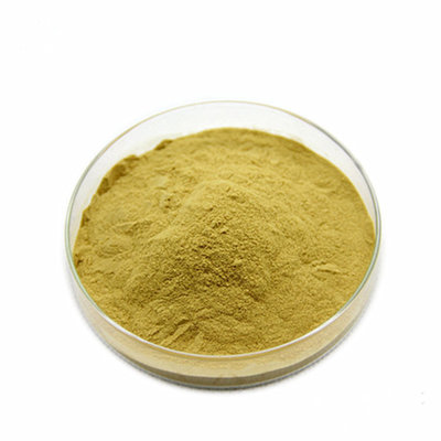 Best Price Natural Ginkgo Biloba Extract 24 Flavonoids Extract