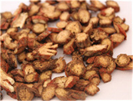 Salvia Miltiorrhiza Extract，Salvia Miltiorrhiza Extract Supplier，Salvia Miltiorrhiza Extract Factory，Salvia Miltiorrhiza