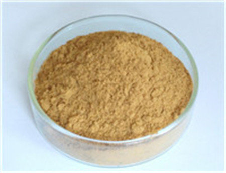 Astragalus Root Extract，Astragalus Root Extract lowering blood lipid，Astragalus Root Extract protect liver Manufacturer，