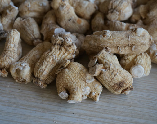American Ginseng P.E Supplier