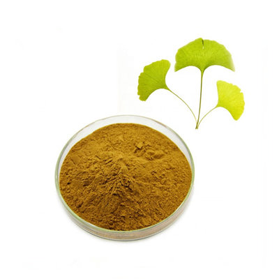 High quality ginkgo biloba extract powder custom specifications