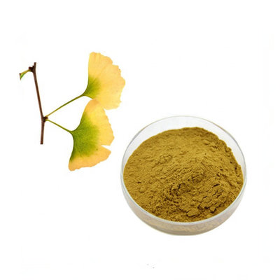 High quality ginkgo biloba extract powder custom specifications