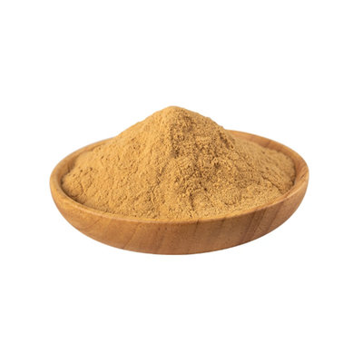 Organic Raw Material Ginkgo Biloba Extract 24 Flavonoids 6 Lactones