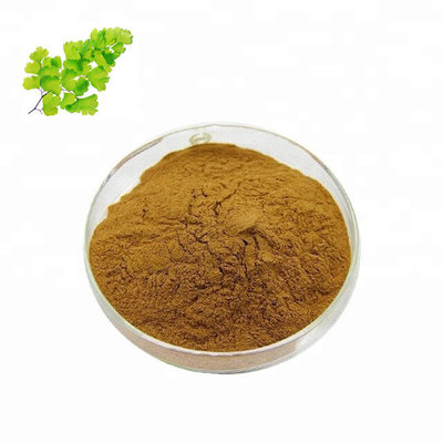 Organic Ginkgo Biloba Leaf Powder 24/6/5 Ginkgo Biloba Extract Supplier
