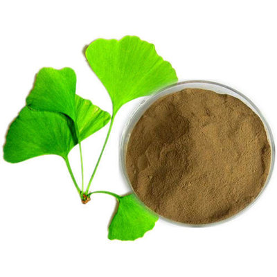 Wholesale Bulk Ginkgo Biloba Extract EP Ginkgo Flavones Powder
