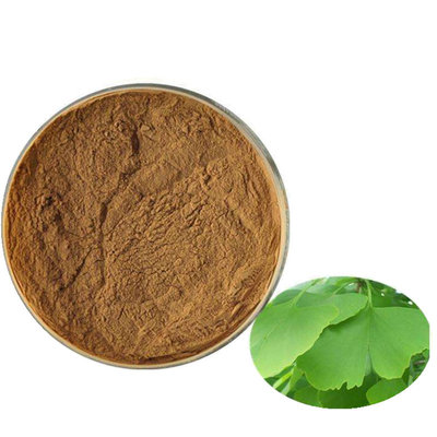 Factory Supply Ginkgo Biloba Extract CP Ginkgo Biloba Extract Powder