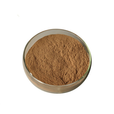 Factory Supply Ginkgo Biloba Extract CP Ginkgo Biloba Extract Powder