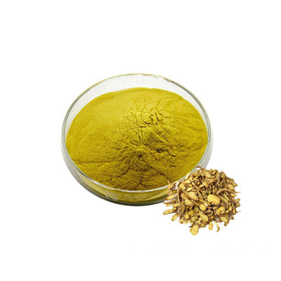 High Quality Scutellaria Baicalensis Extract 80%-90% Baicalin Powder