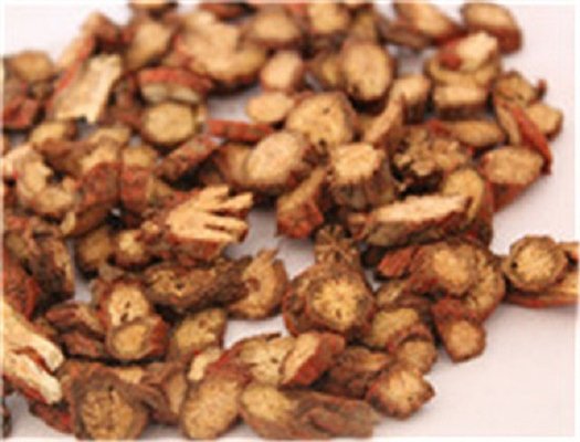 Salvia Miltiorrhiza Extract Supplier