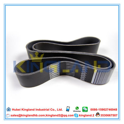 diesel engine K19 KTA19 KTAA19 belt 3033665