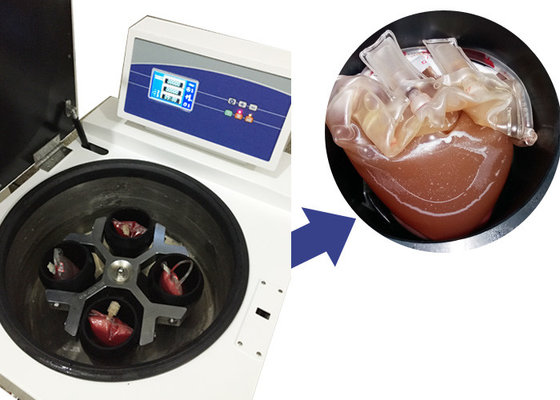 BW5R Floor standing large capacity refrigerated Centrifuge Low Noise Gas Hinge For Lid Drop Protection