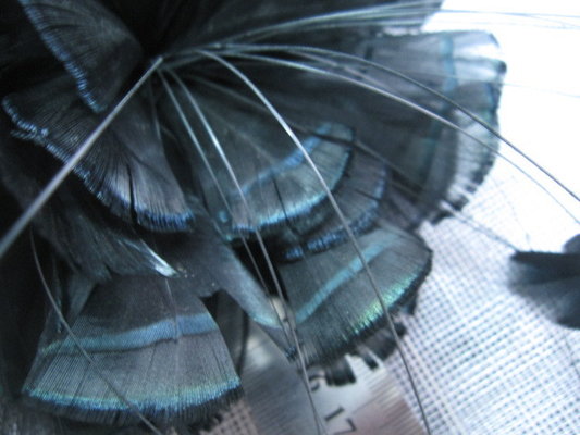 Black Stripe Peacock Feather Flower Fascinator For Hat , Party Decorative Dance