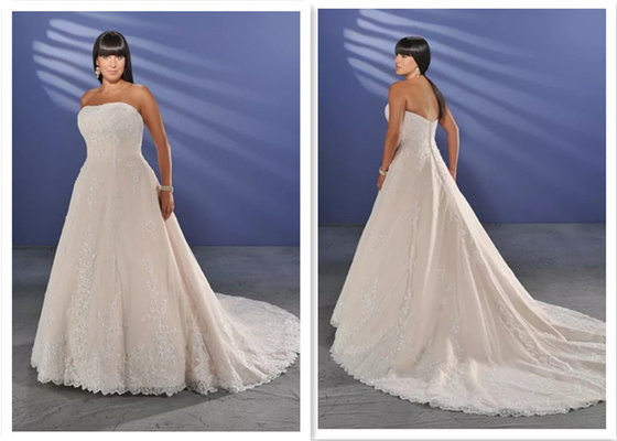 Pre Spring Succinct Wedding Dress Strapless Design Wedding Dress