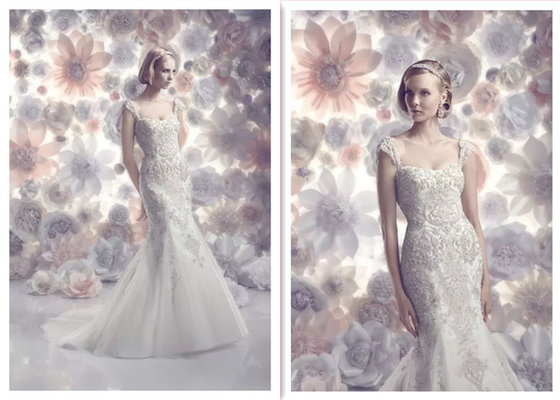 Beaded V Neck Mermaid Tail Wedding Dress For Beautiful Girls And Woman