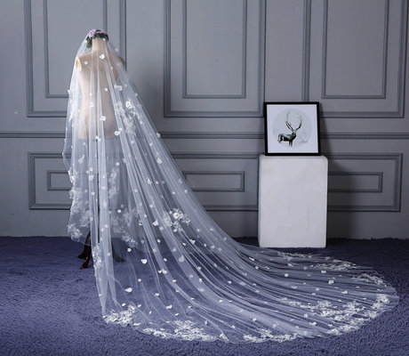 Head Lace Wedding Veil Bridal Gown Accessories 3 Meters Long One Layer
