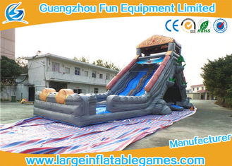 Animal Theme Large Inflatable Water Slides For Outdoor Rental Business