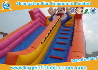 Cartoon Commercial Inflatable Slide For Event / Screamer Inflatable Bounce Slide