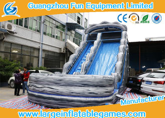Iridescence Gray Commercial Inflatable Water Slide / Dry Slide 10*4*6m Dimensions