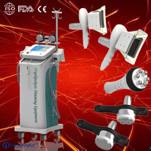 Fat Freezing fat removal weight loss cryolipolysis slimming machine for beauty spas