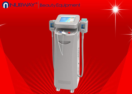 Germany hottest! Fat Remove/2 handles/ cryolipolysis slimming machine Chinese supplier for spa and clinic
