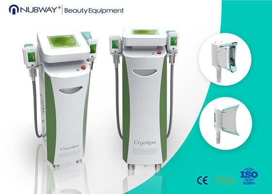 Chinese beauty equipment supplier Cool sculpting fat freezing  weight loss slimming devices 2 handle working together