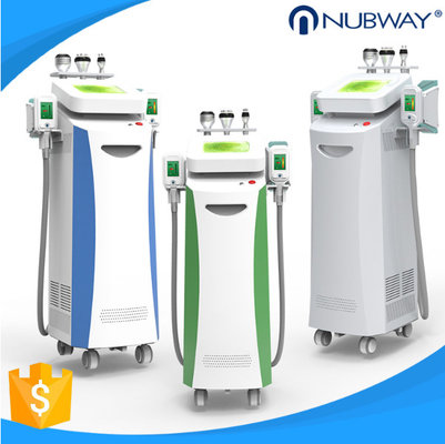 5 handles cool sculpting/cryolipolysis wight loss fat removal salon beauty equipment with CE approved