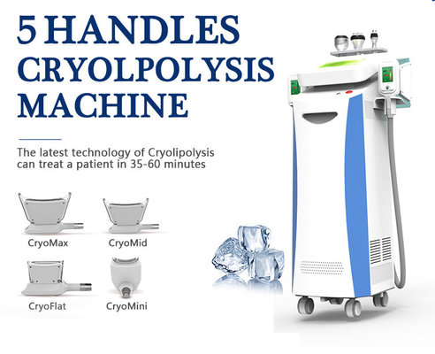 Ultrasonic Cryo Freeze Machine Non - Surgery Fat Freeze Cryolipolysis Treatment