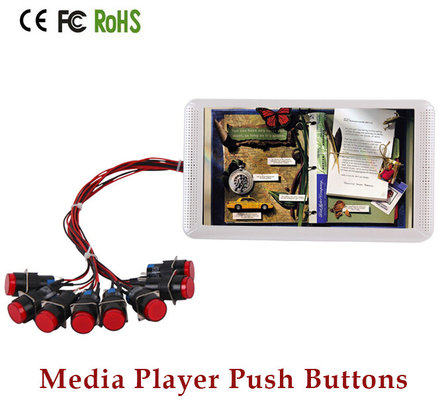 Indoor TFT  USB SD Card Monitor Shelf Edge LCD TV Advertising Display Screens For Museum