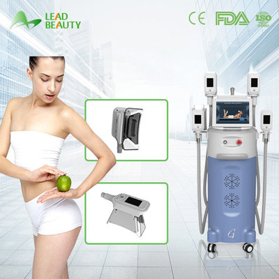 Hot in Europe!!! cryolipolysis body slimming machine