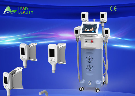 Salon and  use high performance leadbeauty cryopolysis machine with 4 heads
