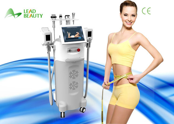Vertical Cryolipolysis Slimming Machine , Weight Loss Zeltiq Coolsculpting Machine