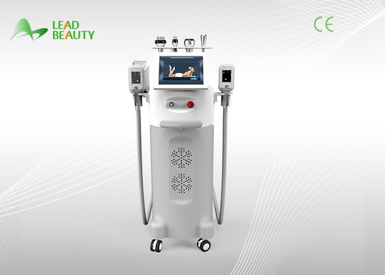 China beauty salon cryolipolysis machine medical spa clinic use