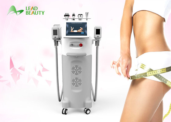 Professional best price sculpting body slimming weight loss cryolipolysis