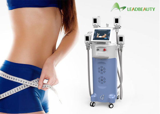 Newest ce approval cryolipolysis slimming machine with 12 inch big touch screen