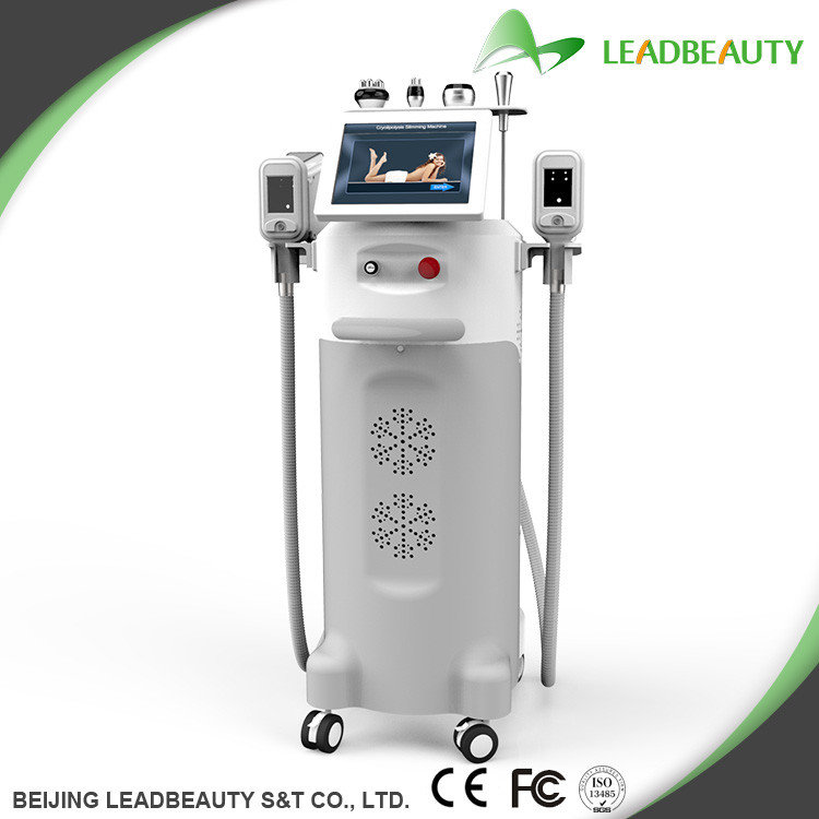 Fat removal 12 big touch screen Fat freezing slimming machine for sale