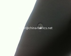 China Taslan fabric, Polyester &amp; Nylon 184T,196T,228T supplier