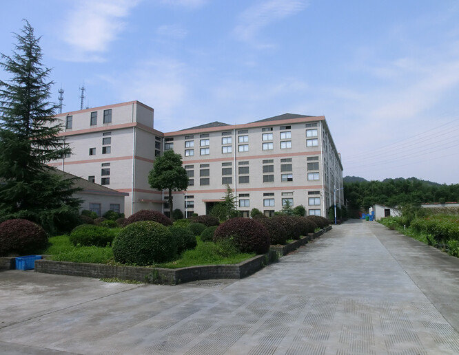 China Hangzhou lin’an Hengsheng Technology Co.,Ltd company profile