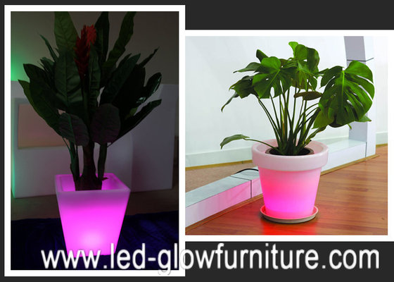 Round / Square / Cube and champagne LED Flower Pots lights , multi - colored led planter pots
