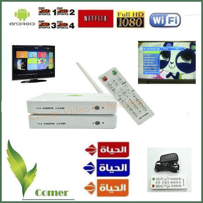 HD Android 5V DC Arabic IPTV TV Player With 90 - 250V Operation Condition