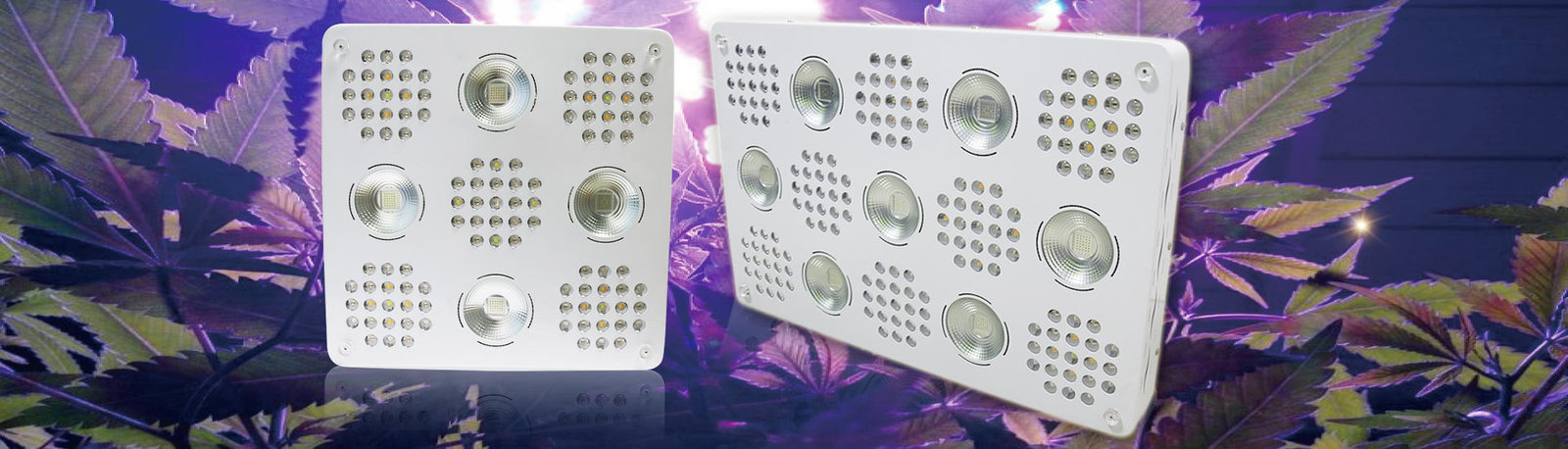 quality Agriculture LED Lights factory