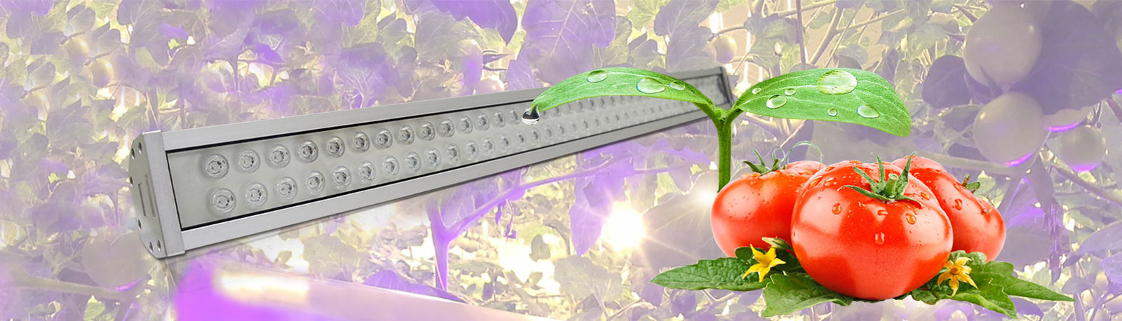 quality Agriculture LED Lights factory